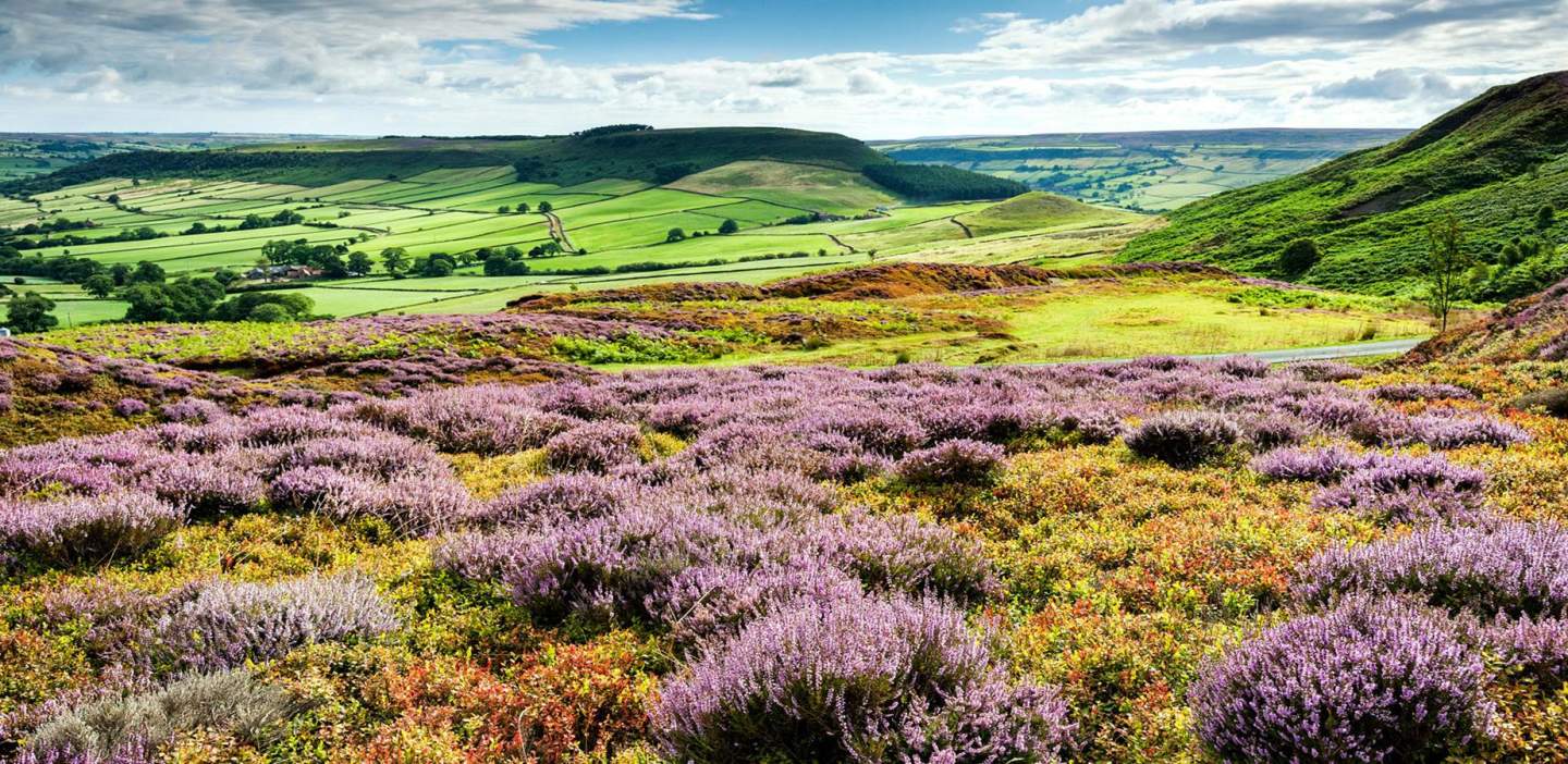 Scarborough, Whitby and North Yorkshire Moors Railway